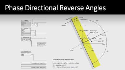 3SP-1036 - Defining Phase Directional Reverse Angles